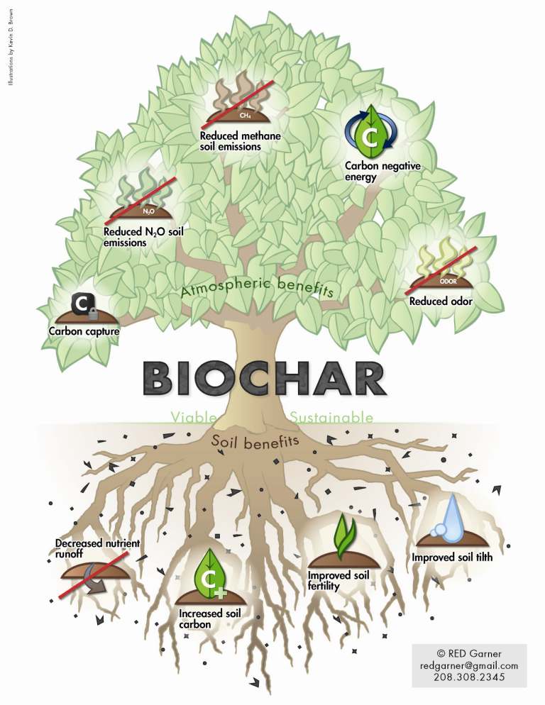¿Qué es el biochar? – Compostando Ciencia Lab.