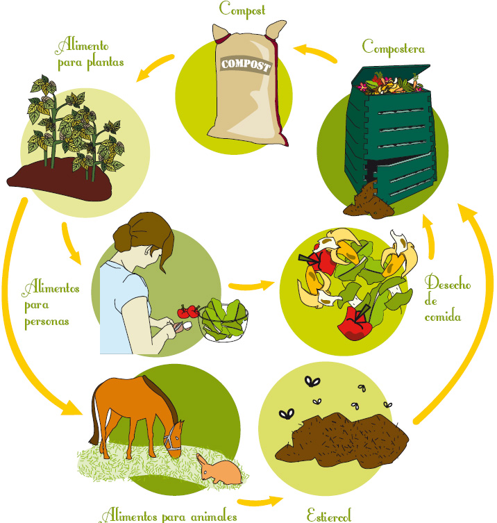 Compost – Compostando Ciencia Lab.